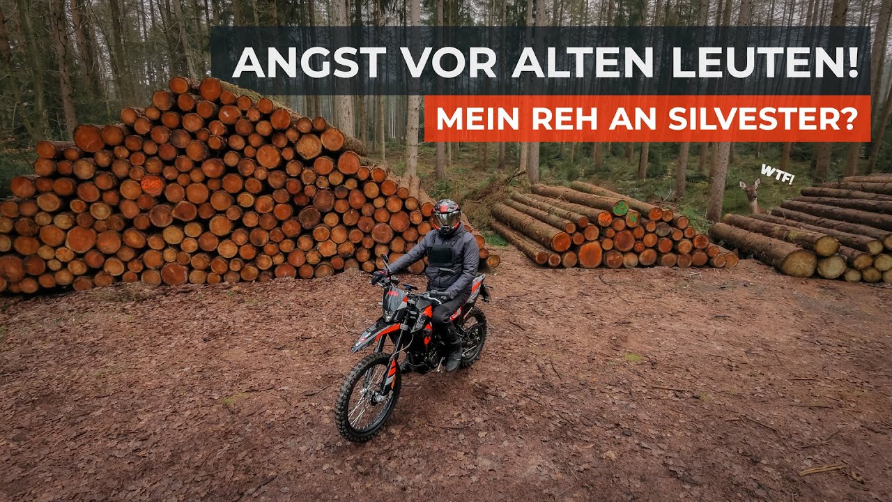 Wahrend Der Fahrt Uberquert Vor Ihrem Fahrzeug Ein Reh