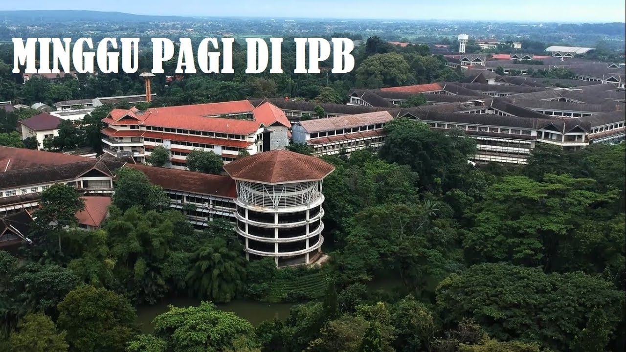 Minggu Pagi di IPB University - drone - YouTube