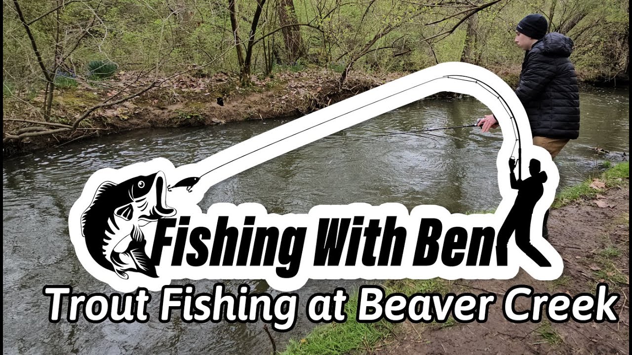 Trout Fishing at Beaver Creek - YouTube