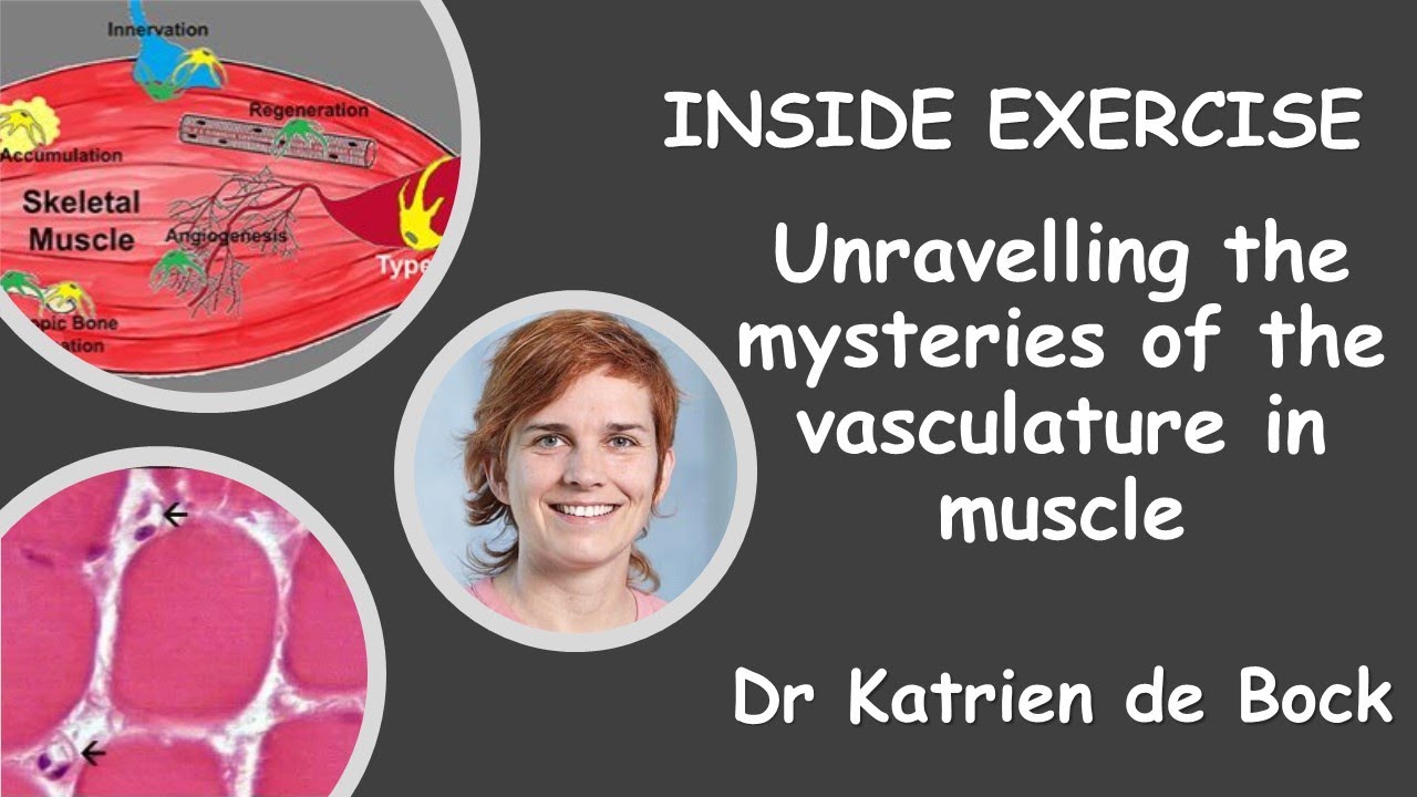 #26 - Unravelling the mysteries of the vasculature in muscle with Dr ...