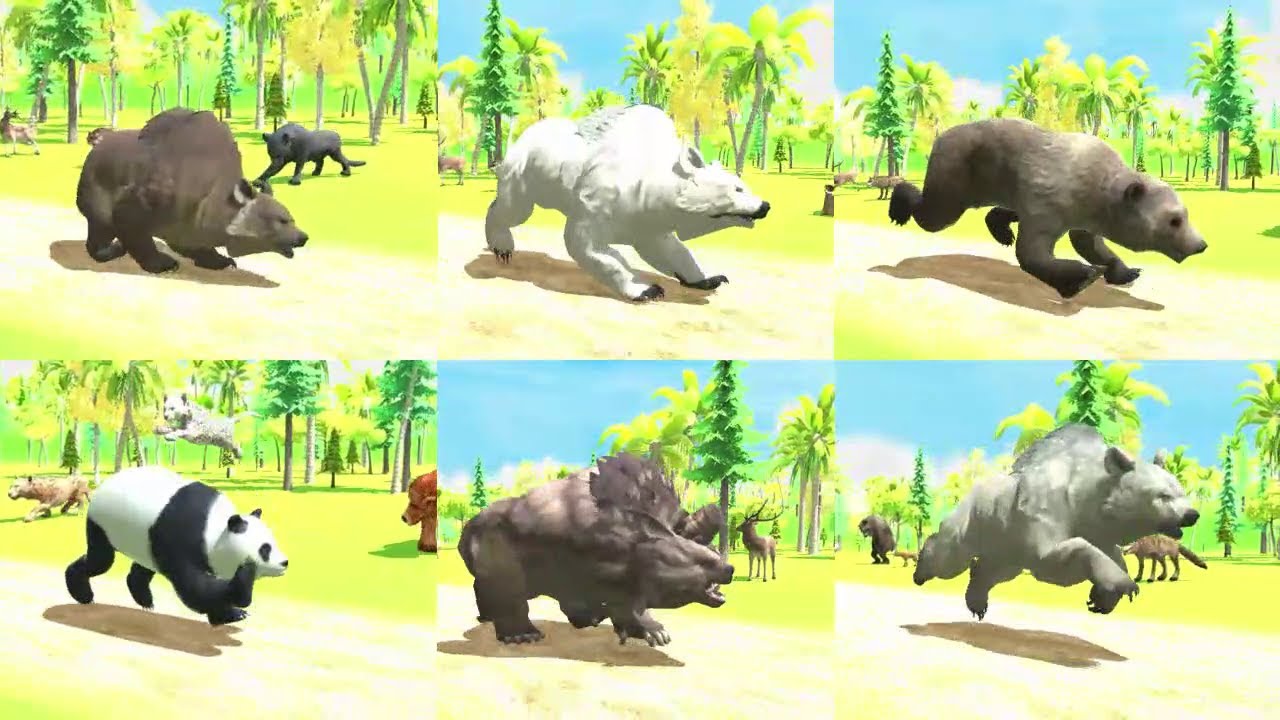 Bears Animals Speed Races | Panda, Brown Bear, White Bear, Grey Bear ...