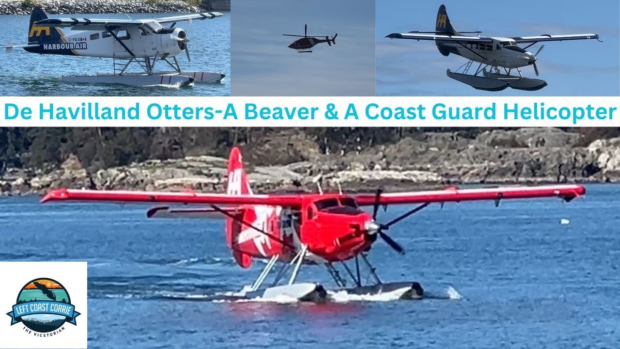 World’s Oldest Otter Lands: Timeless Seaplane Action You Can’t Miss ...