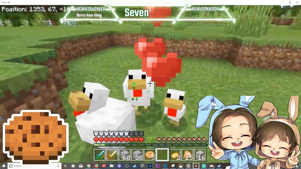 Minecraft Survival Night 1 | Minecraft Cookies, Chicken and Creeper ...