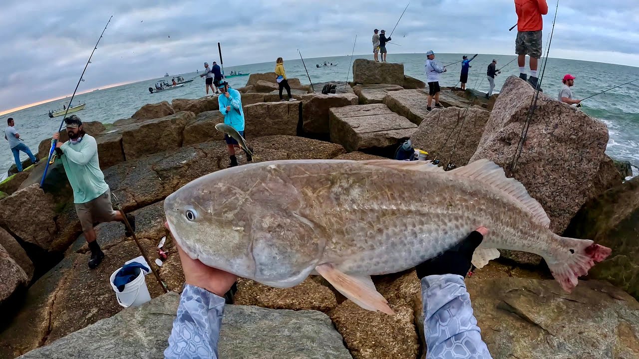 Jetty Fishing CHAOS **Weekend Warriors** (Port Aransas, Tx) - YouTube