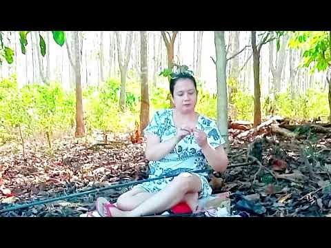 Pesta strike saat mancing pakai umpan udang kecil