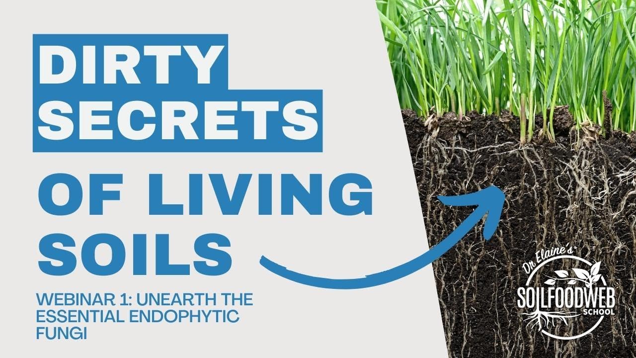 Unearth the Essential Endophytic Fungi | Dirty Secrets of Living Soils ...