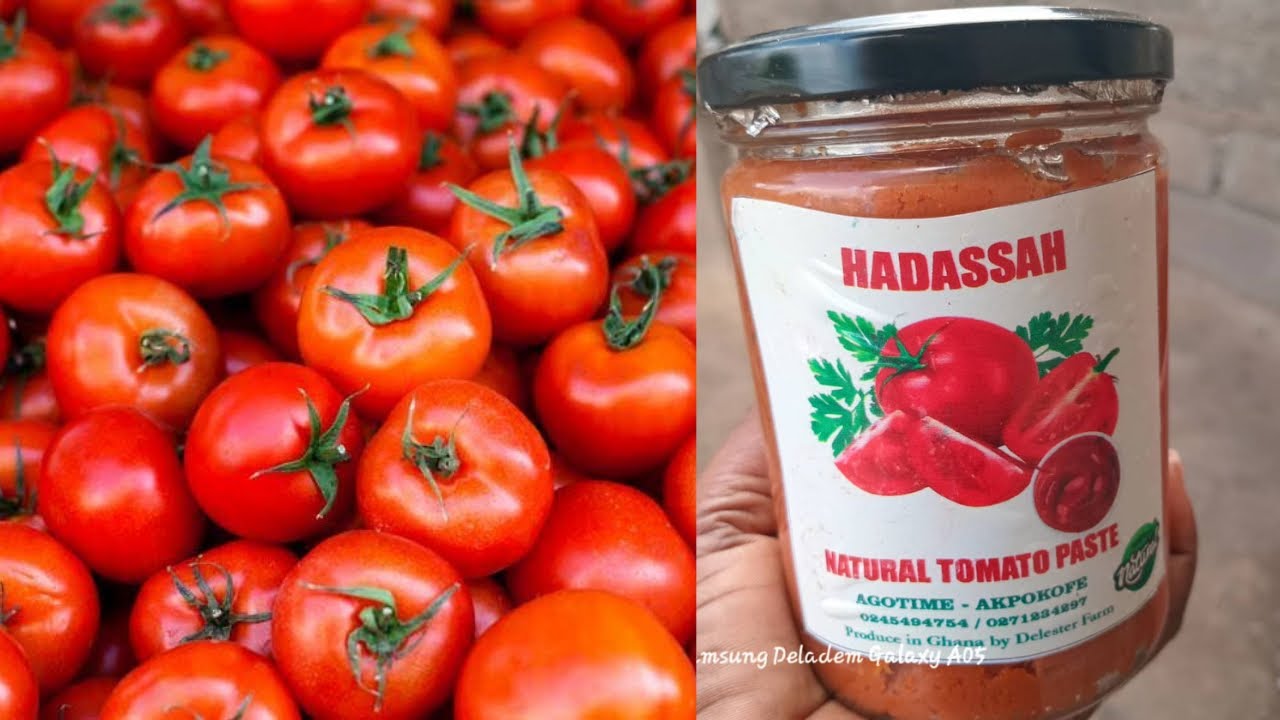 Tomato Farming With Value Addition 🔥 | Meet Agotime Ziope’s 41st ...
