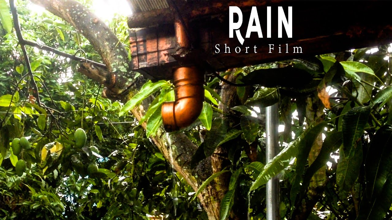 Rain (short film) - YouTube