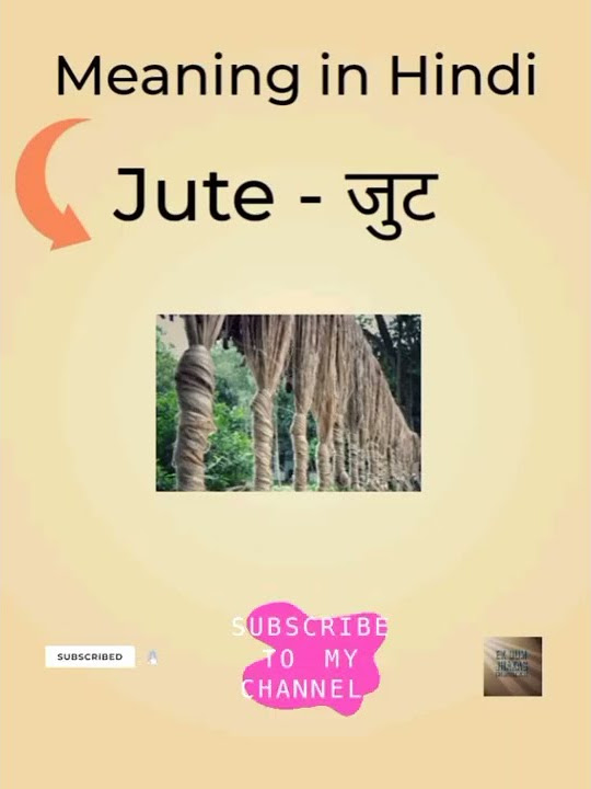 Jute Meaning In Hindi Shorts YouTube jute-meaning-in-hindi-shorts-youtube