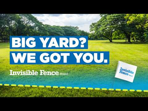 Keep Your Dog Safe on a Big Property [Updated Guide]
