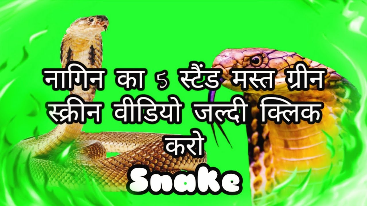 #साँप /#नागराज का न्यू ग्रीन स्क्रीन वीडियो पार्ट (1) Snake / Nagraj's ...
