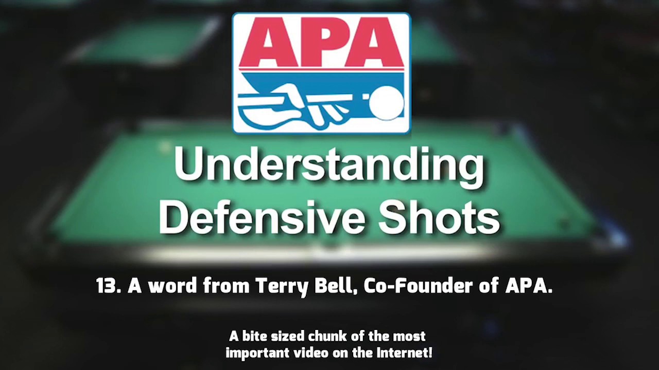 Defensive Shots - 13 - A Word from Terry Belll, Co-Founder of APA ...