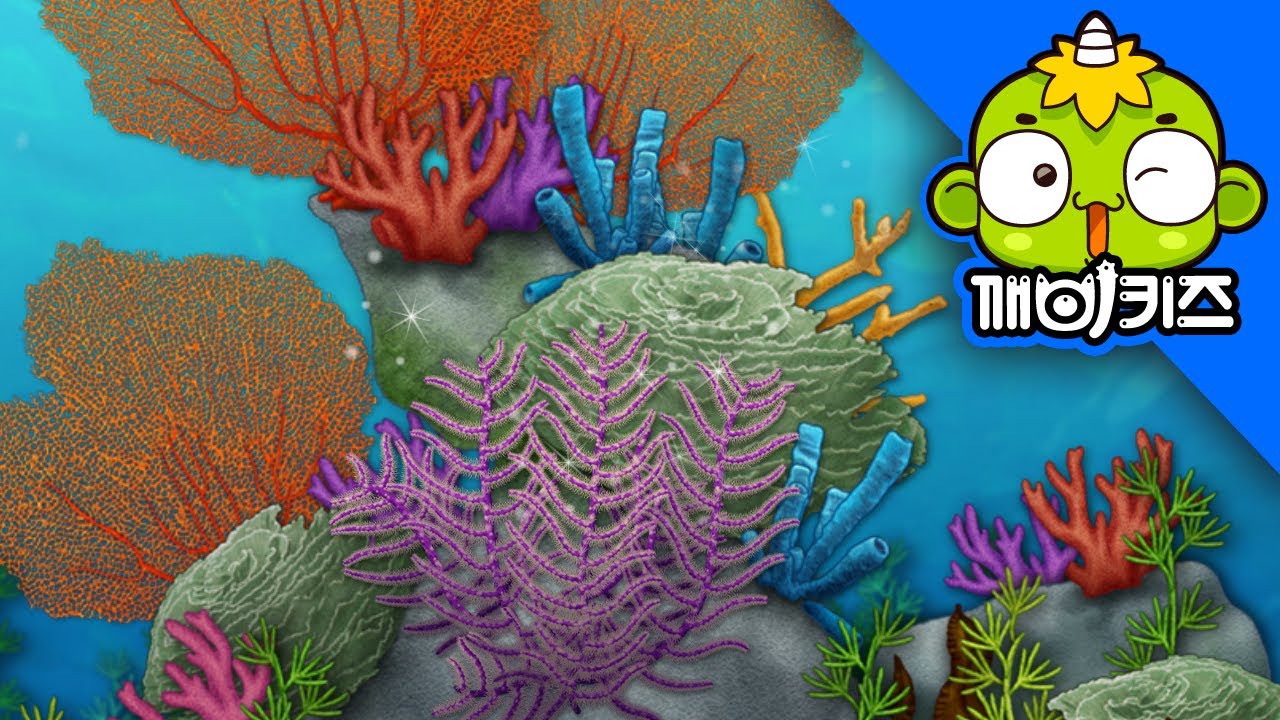 바다의 보석 산호 | 자연관찰 | 과학도감 | 동물탐험 | 깨비키즈 KEBIKIDS - YouTube