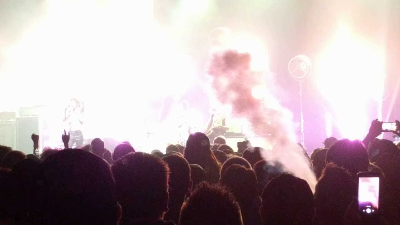 Greta Van Fleet flower power - YouTube