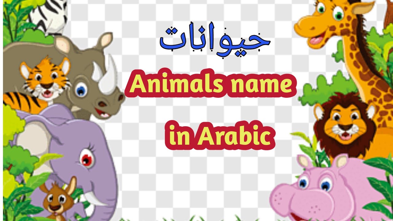 Animals Names In Arabic Language YouTube animals-names-in-arabic-language-youtube