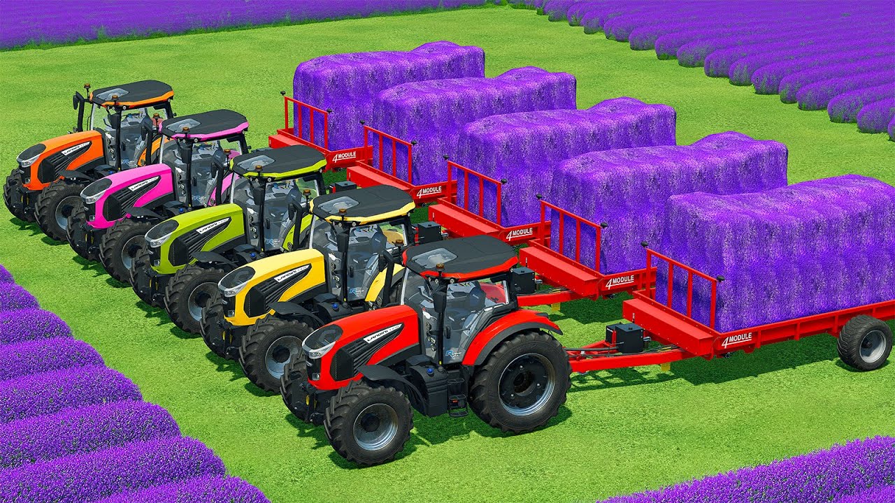 HARVEST, LOAD & TRANSPORT SQUARE LAVENDER BALES WITH LANDINI TRACTORS ...
