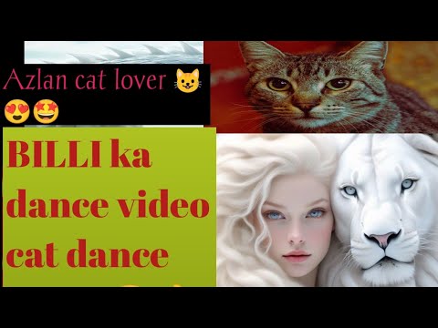 Azlan cat lover #short #video cats students cate WhatsApp cat dance ...