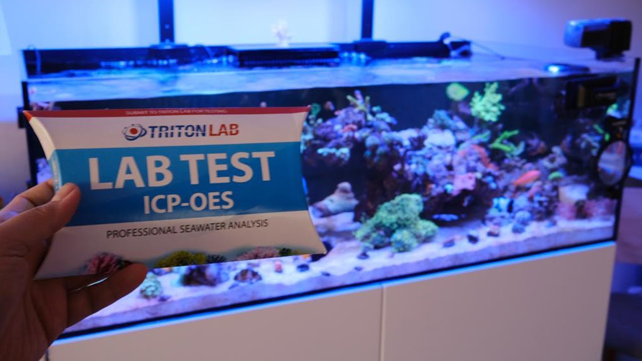 New Reef Tank Build - Waterbox 105.4 Frag - Part 9 ICP Test - YouTube