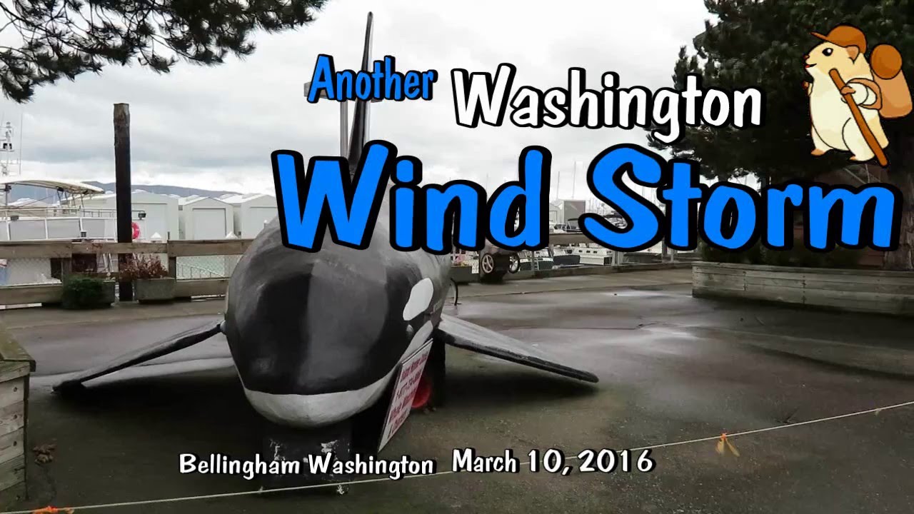 Wild High Winds In Western Washington - Bellingham Wa Windstorm - YouTube
