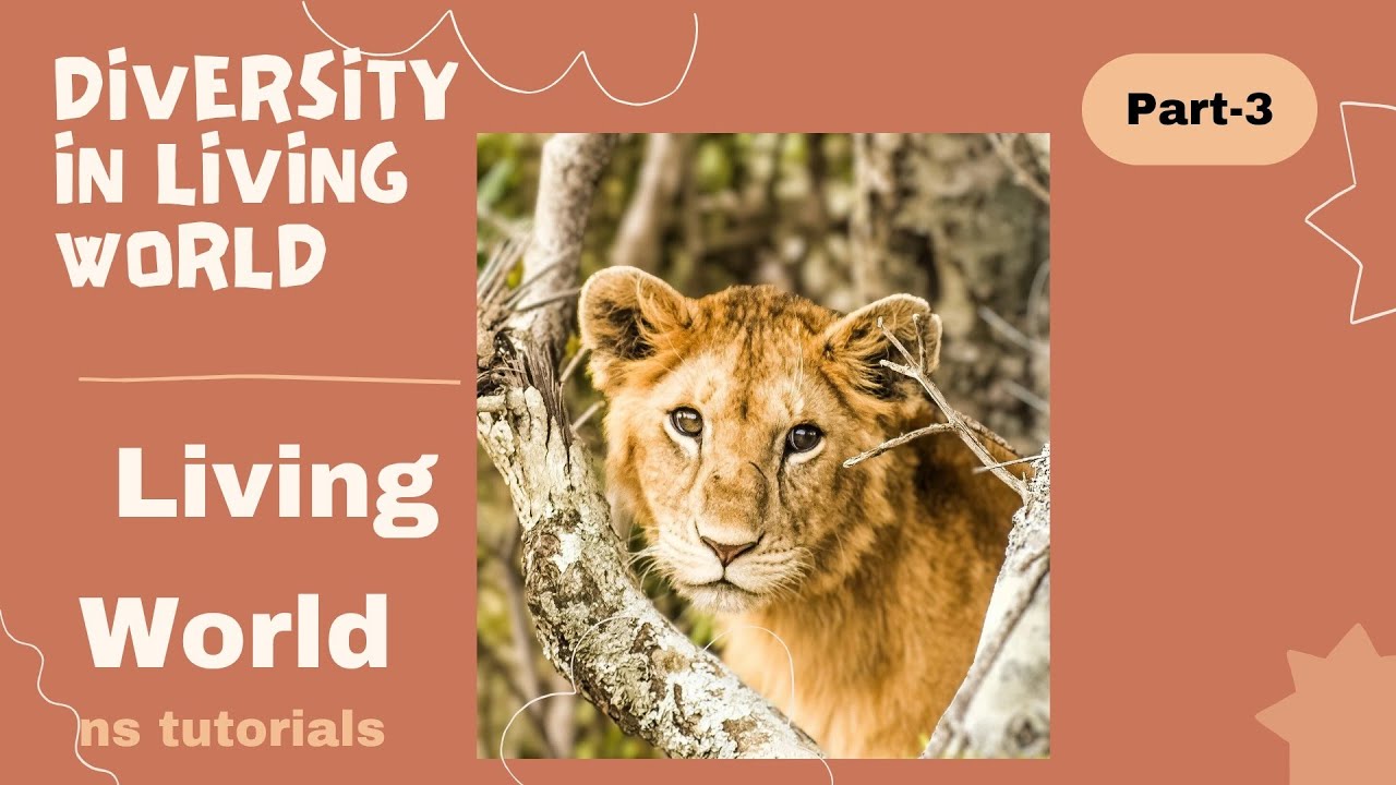 Taxonomy, systamatics and taxonomic categories | NEET | diversity in the living world | NS ...