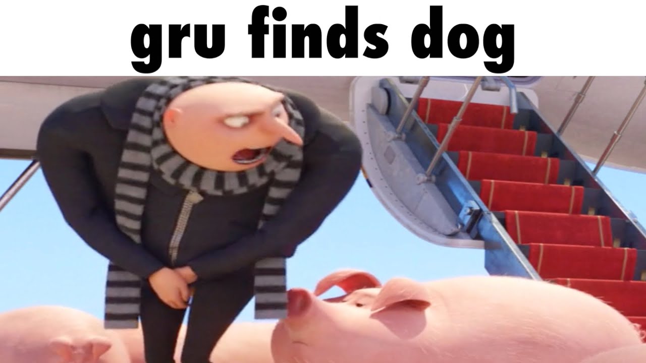gru finds dog - YouTube