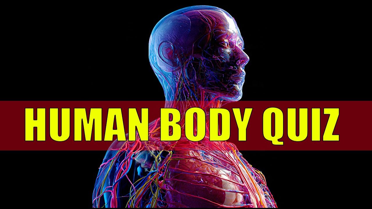 Biology Brain Test: Human Body Quiz for Students & Learners - YouTube