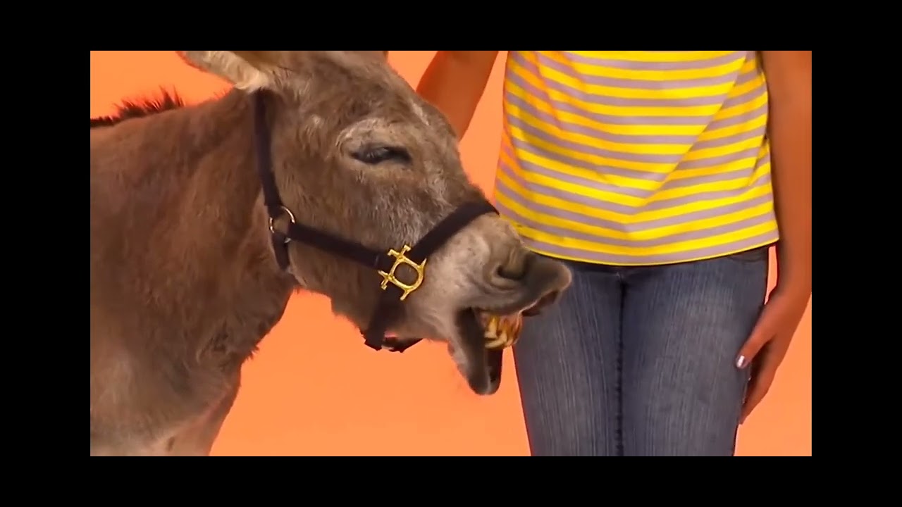 Yo Gabba Gabba! - Cool Tricks - Shadom And Strawberry - Making ...