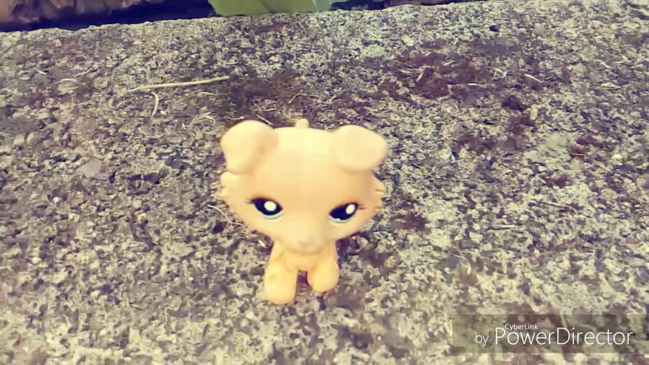 Lps MV - Cups (Pitch Perfect) - YouTube