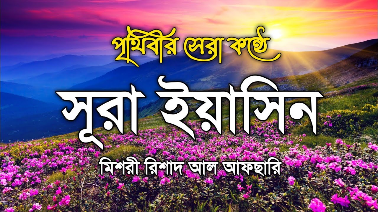 Surah Yasin (Yaseen) Heart Soothing Recitation of Sura Yaseen ┇ Recited ...