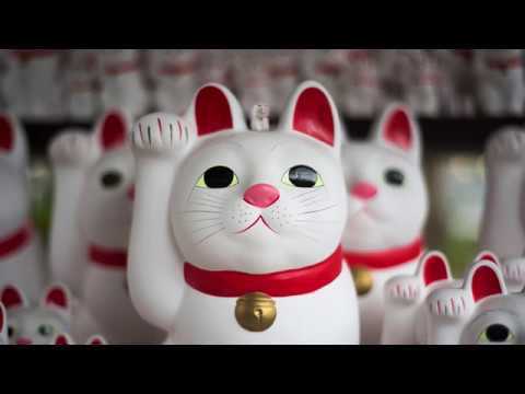 Shelley Stall: Data, is this everything? - YouTube