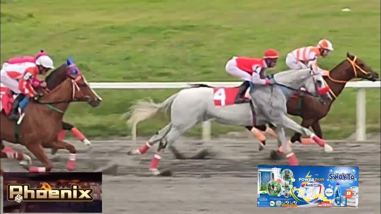 BIG LAGOON 🐎 2023 PHILRACOM COMMISIONERS CUP 🏆 CHAMPION. (JOCKEY) JA GUCE 🐎 - YouTube