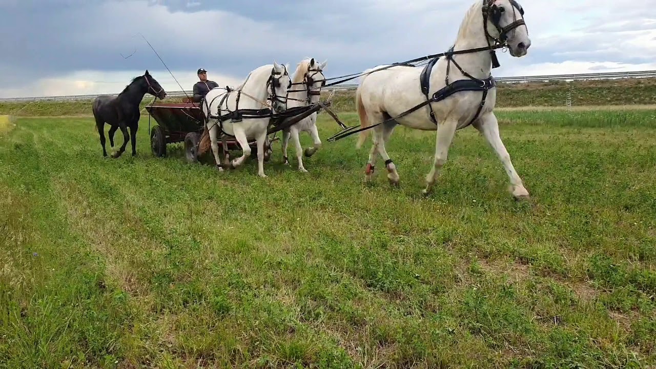 Lipitan 2020 - YouTube