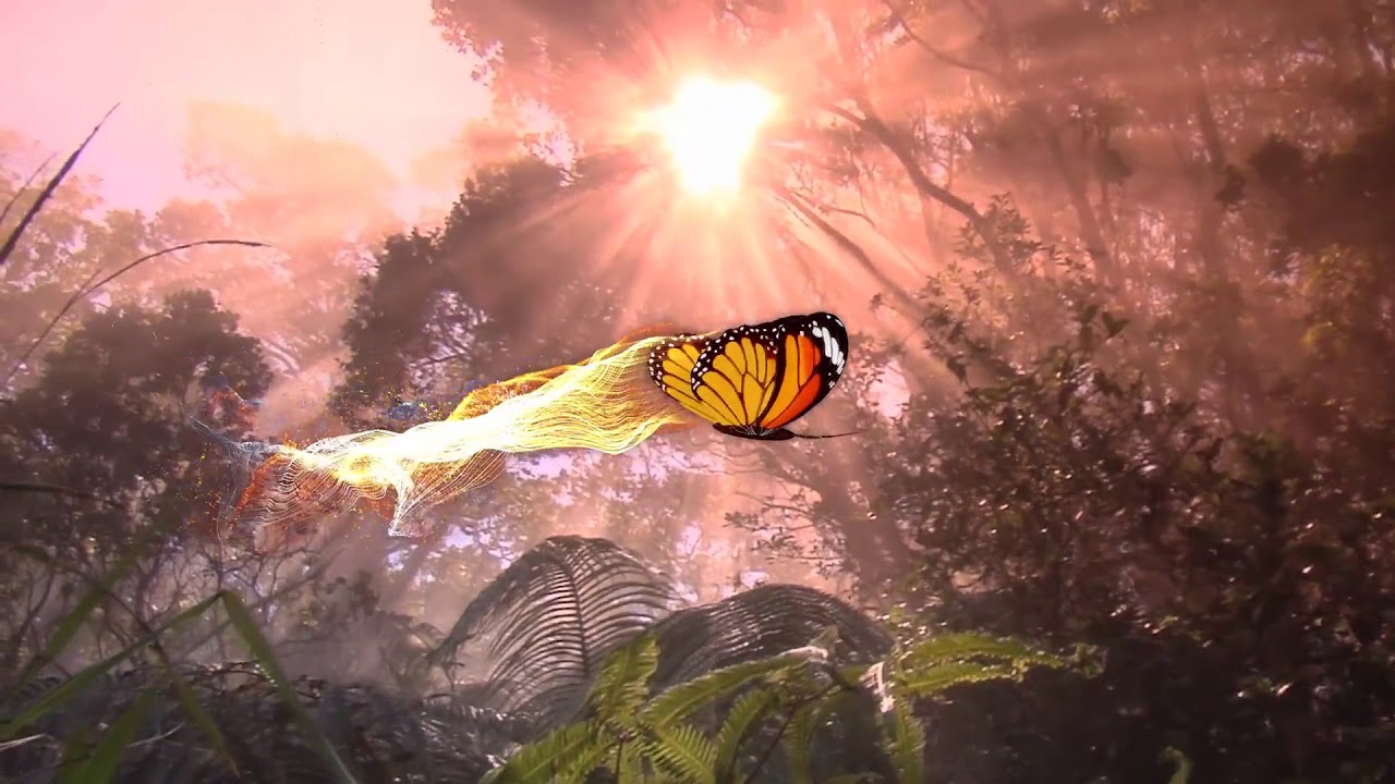 Peaceful Music, Relaxing Music, Instrumentatl Music "The Magical ...