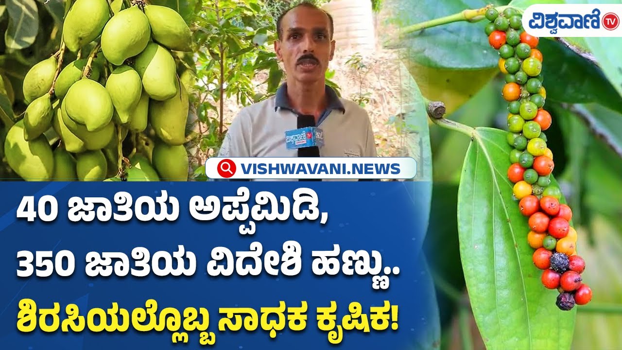 SIRSI News | Appemidi Plants | 40 ಜಾತಿಯ ಅಪ್ಪೆಮಿಡಿ,350 ಜಾತಿಯ ವಿದೇಶಿ ...
