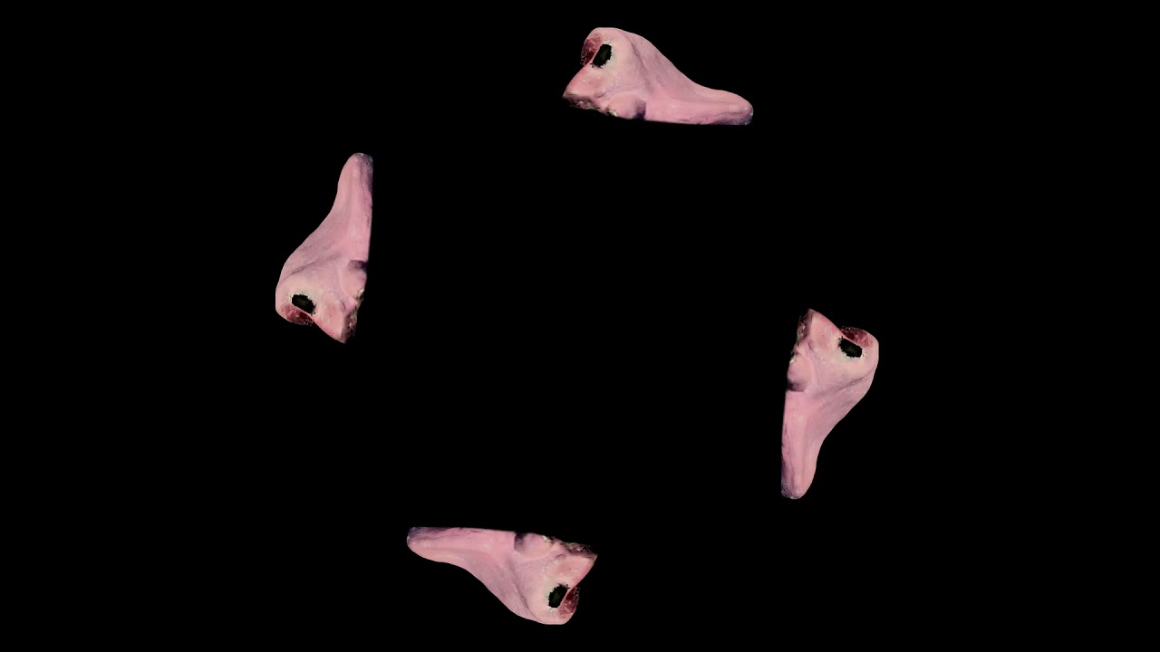 Rotating Blob fish for 3D Peppers Ghost Hologram #CTCH110_2019 - YouTube