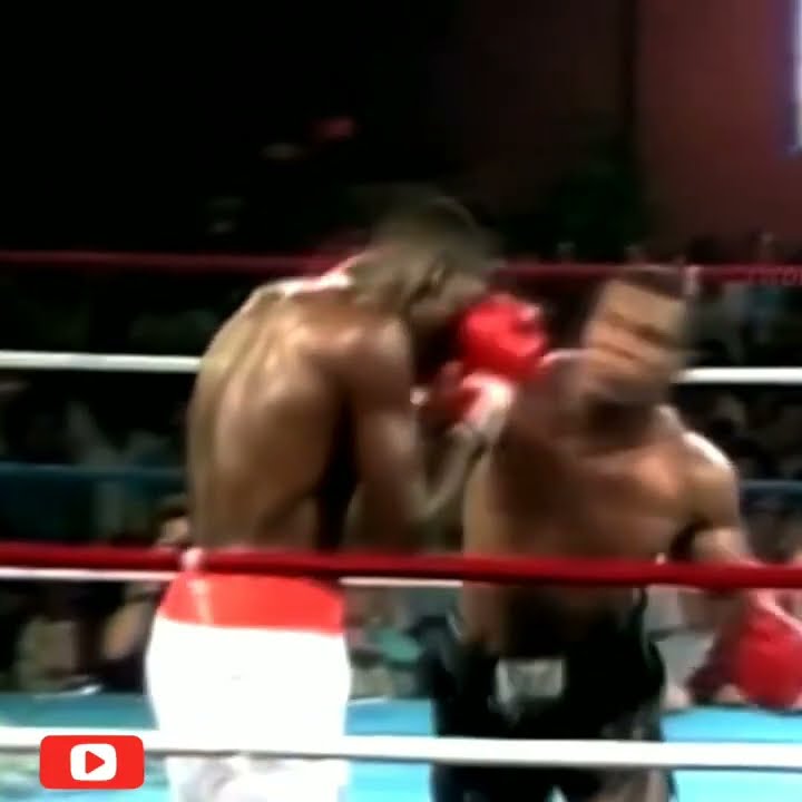 When Carabao is angry #boxing #shorts #entertainment #sports - YouTube