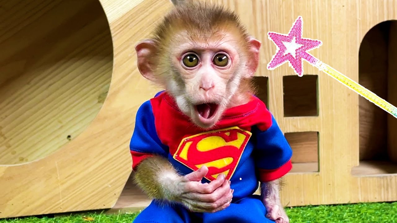 Magic of superman monkey Dola - YouTube