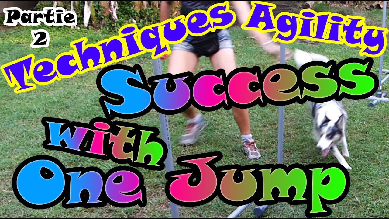 Les techniques de Conduite en Agility - Success with One Jump - Susan ...