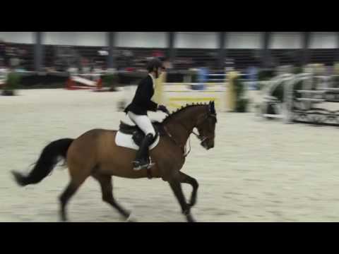 Video of COMPIS ridden by STEPHEN C. FORAN from ShowNet! - YouTube