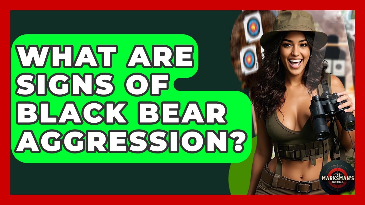 What Are Signs Of Black Bear Aggression? - The Marksman's Journal - YouTube