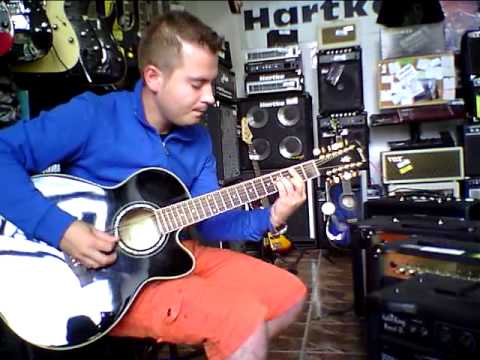 Ibanez AEL2012 - Chitara cu 12 corzi (Double Six)
