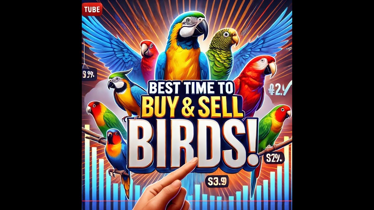 🦜 Bird Buying & Selling – Best Time ! "Best Time to Buy & Sell Birds ...
