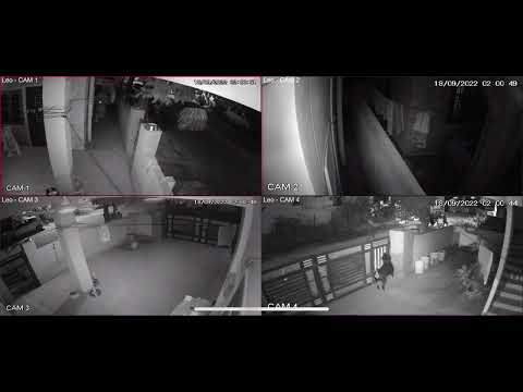 Rottweiler vs robbers cctv footage