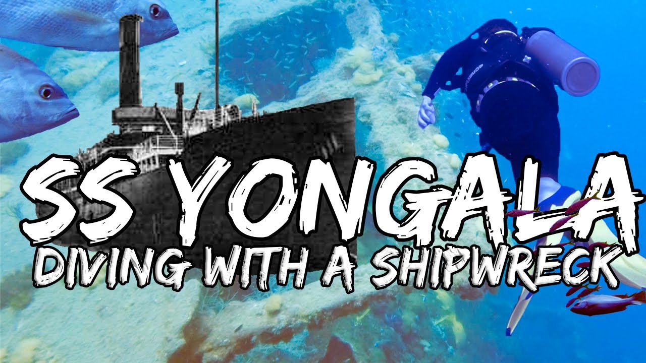SS Yongala. The absolutely very best WRECK DIVE in the world?! - YouTube