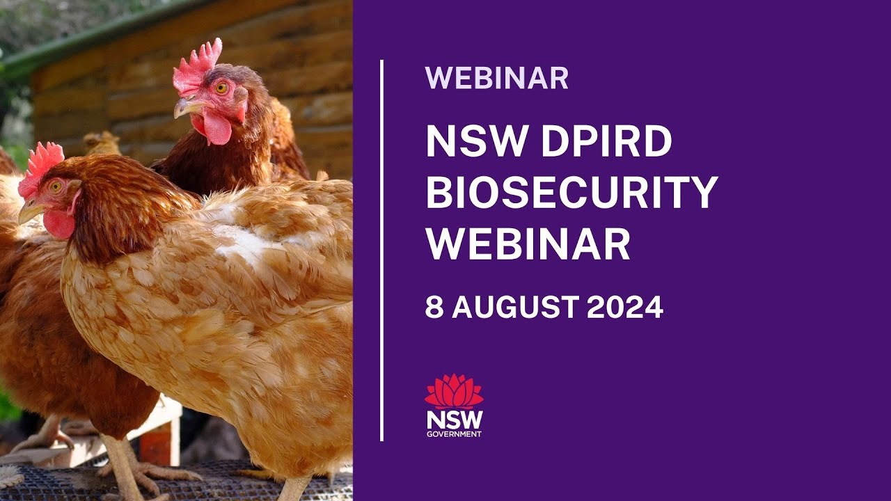 NSW DPIRD Biosecurity Webinar – 08 August 2024 - YouTube
