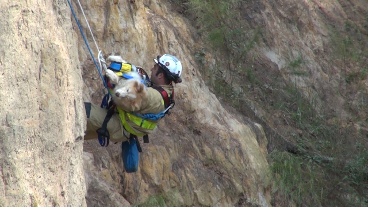 101820 MAN AND DOG RESCUED FROM 50 FOOT RAVINE MCPR - YouTube