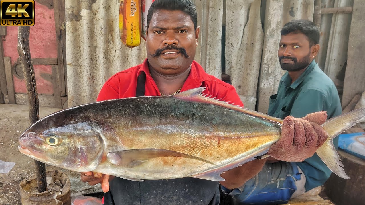 KASIMEDU 🔥 SPEED SELVAM | AMAZING TREVALLY FISH CUTTING VIDEO | 4K ...
