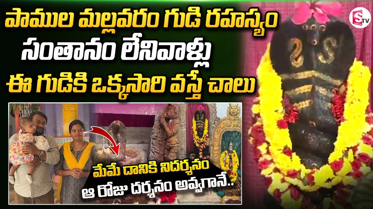 పిల్లలు లేని వారు ఒకసారి వెళితే చాలు | Sri Subrahmanyeswara Swamy ...