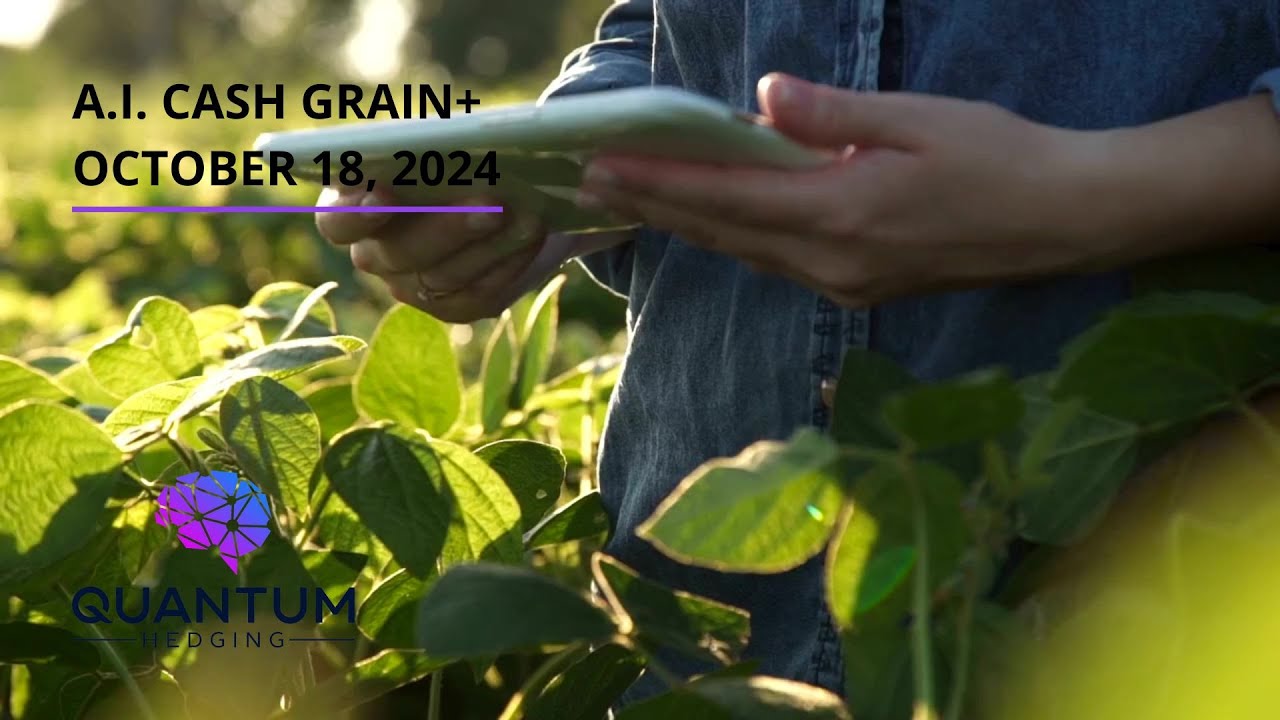 A.I. Cash Grain+ Video Podcast - October 18, 2024 - YouTube