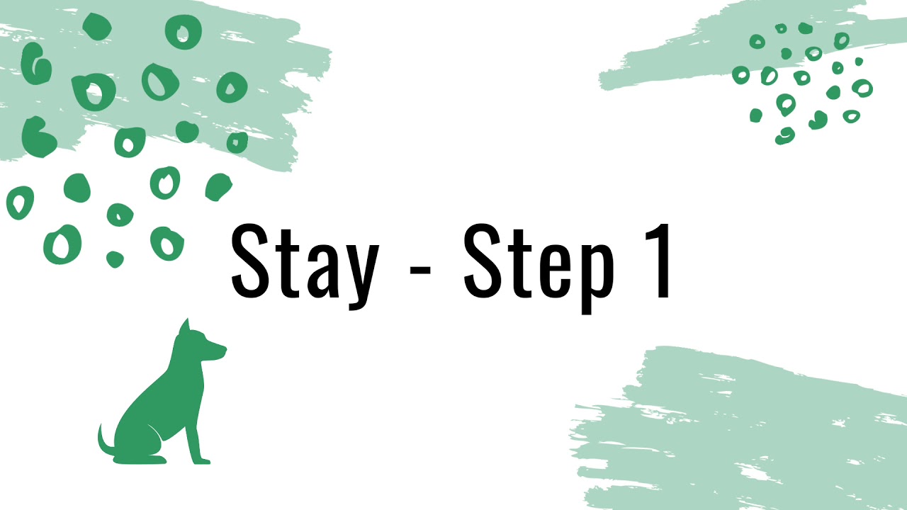 Teaching Stay - Step 1 - YouTube